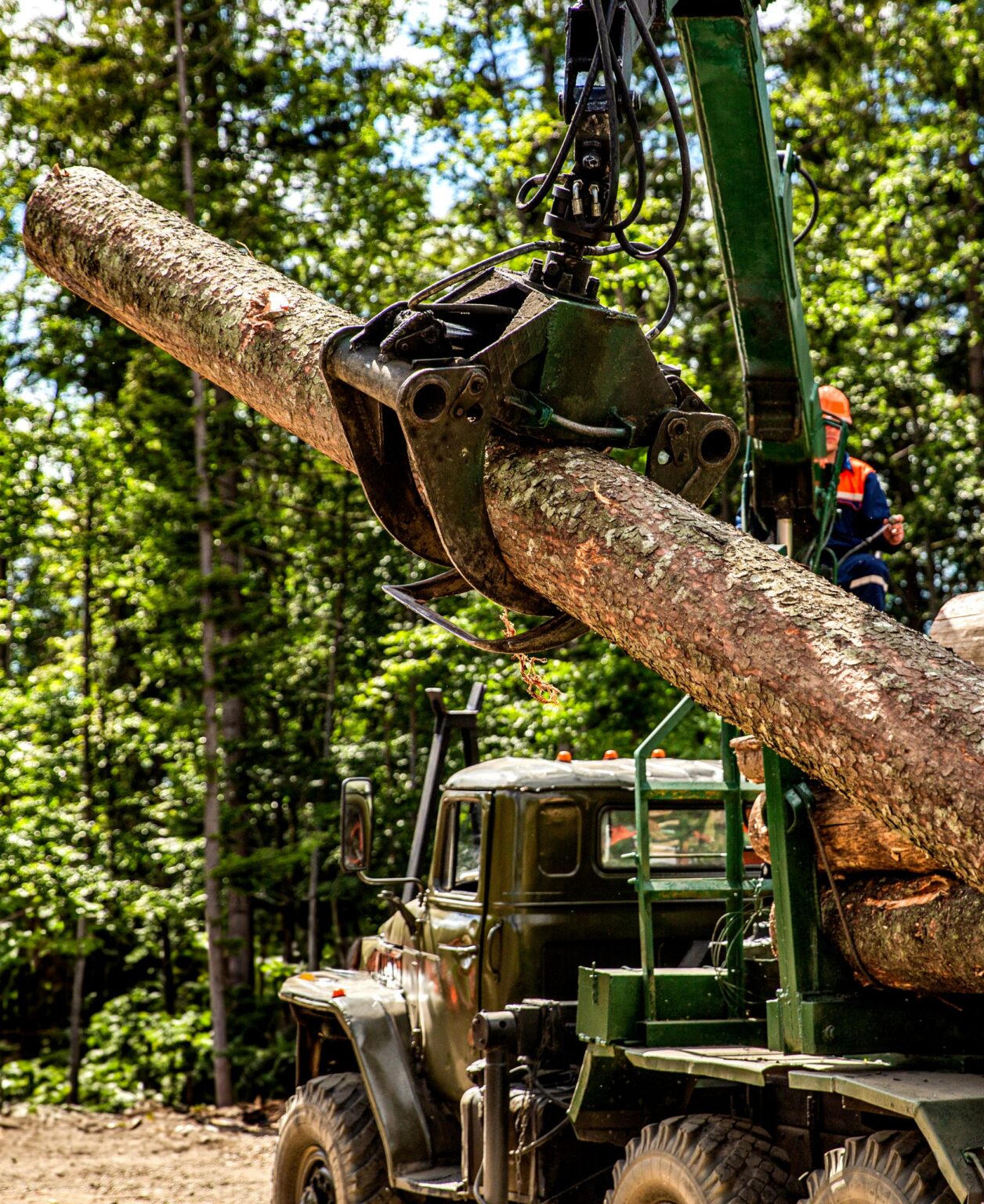 Homepage - Small Scale Forestry Expo
